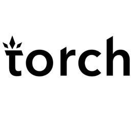 Torch Enterprise Promos - Save 30% - May 2025 Discounts & Deals